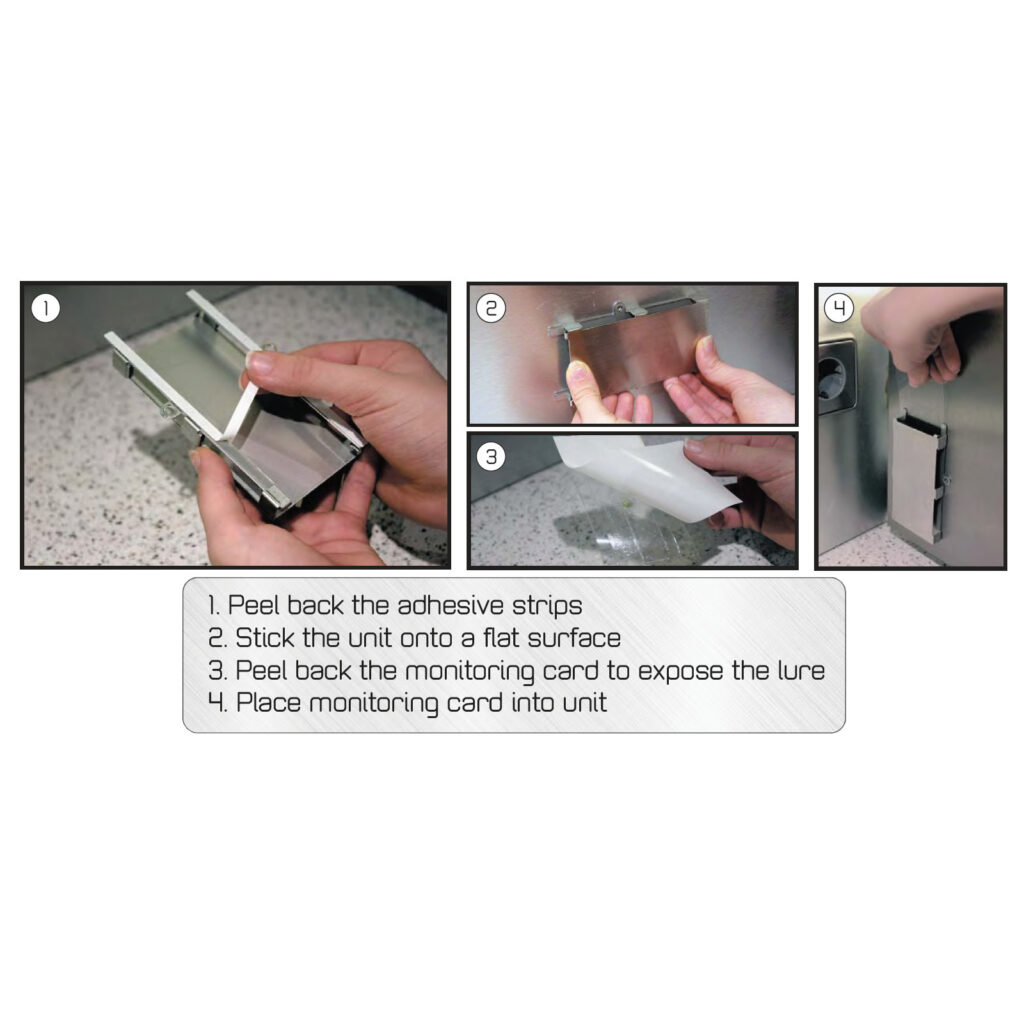 Rega Cockroach Ss Monitor + Glueboard – www.rega.au